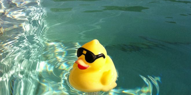 Duck, Duck, Goose! - Israel365 News