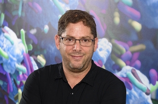 Rehovot researchers discover that microbes in the gut could be blamed for weight gain after ...